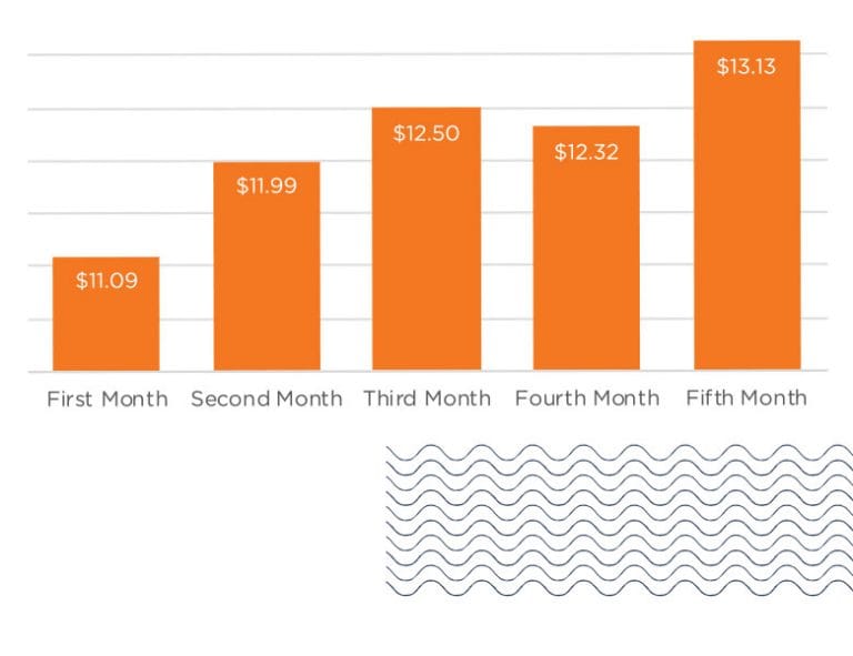 23% Monthly Revenue Increase with Solutions DGR | Case Study ...